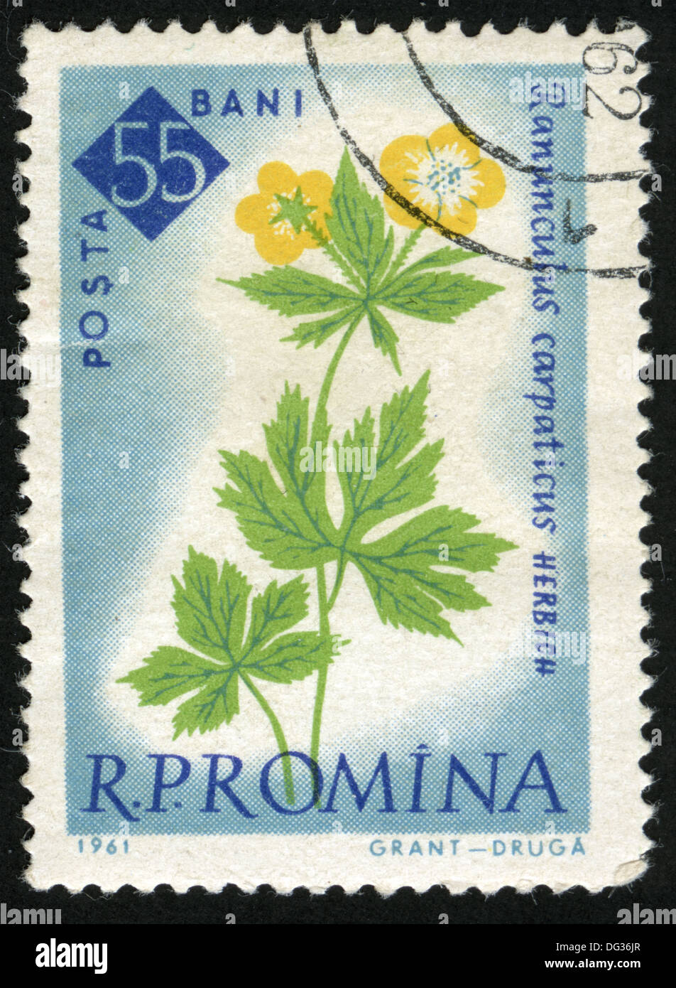 Stamps plants hi-res stock photography and images - Alamy
