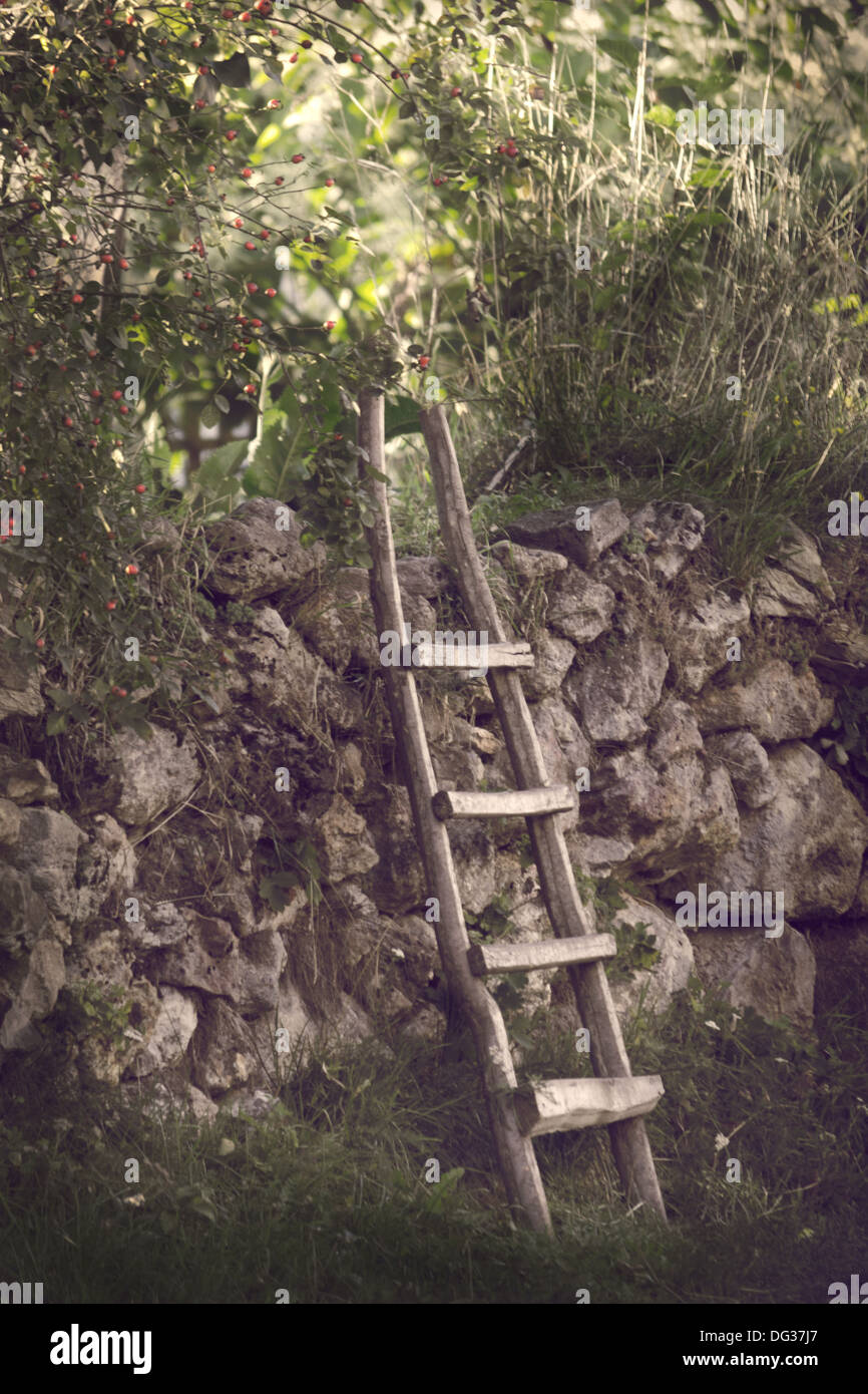 Old wooden ladder hi-res stock photography and images - Alamy