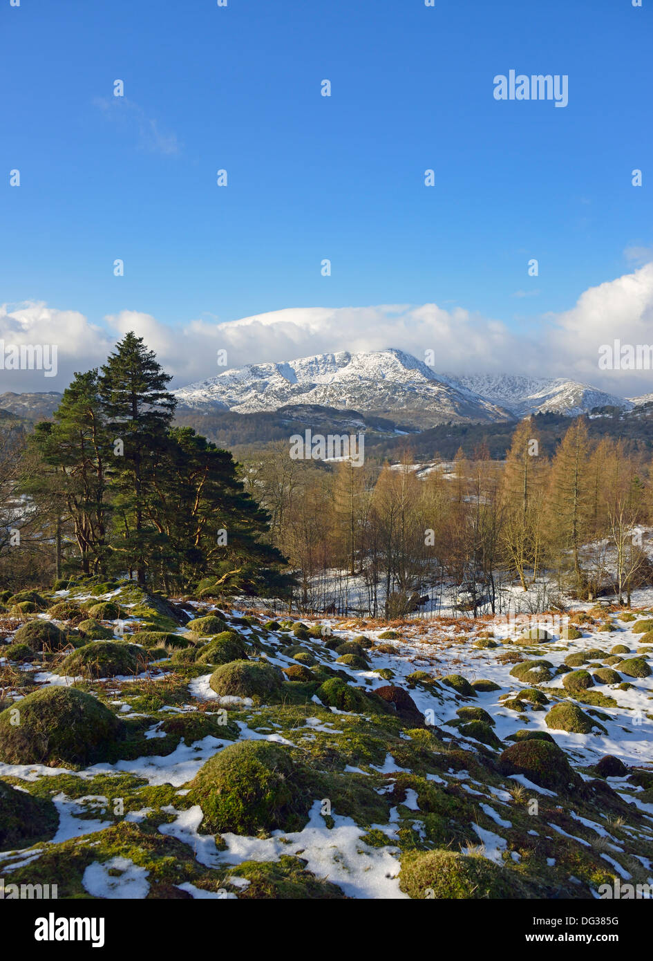 The carrs park hi-res stock photography and images - Alamy