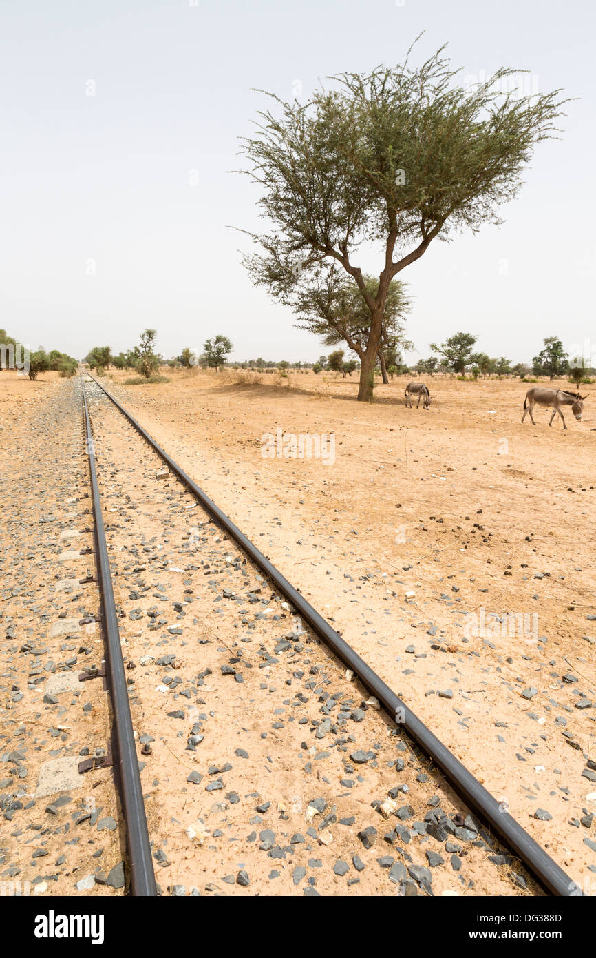 Early 1900s Africa High Resolution Stock Photography and Images - Alamy