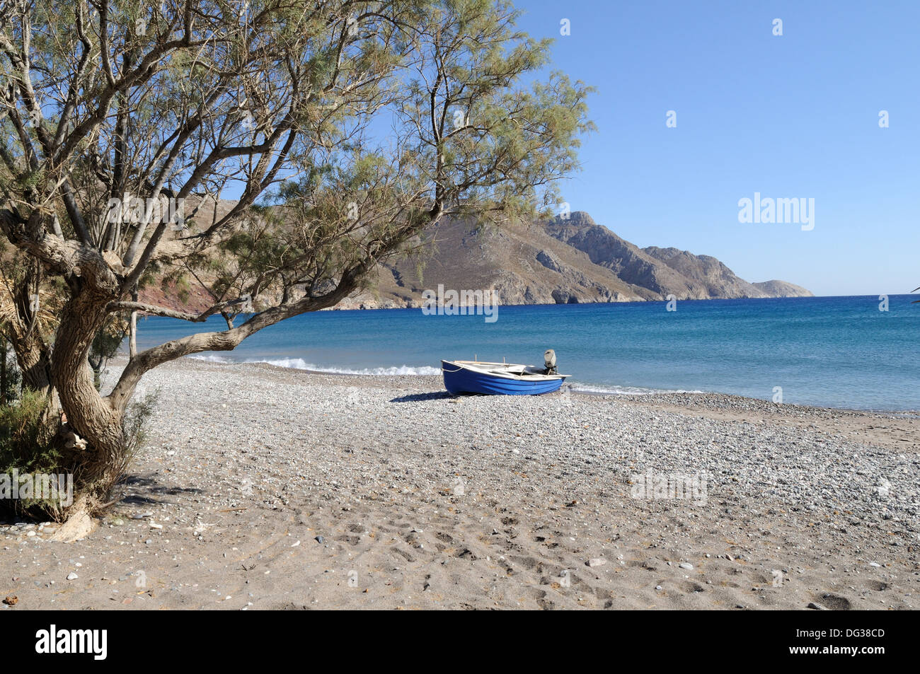 Tamarisk tree on Eristos beach tilos Greek island The Dodecanese Greece ...