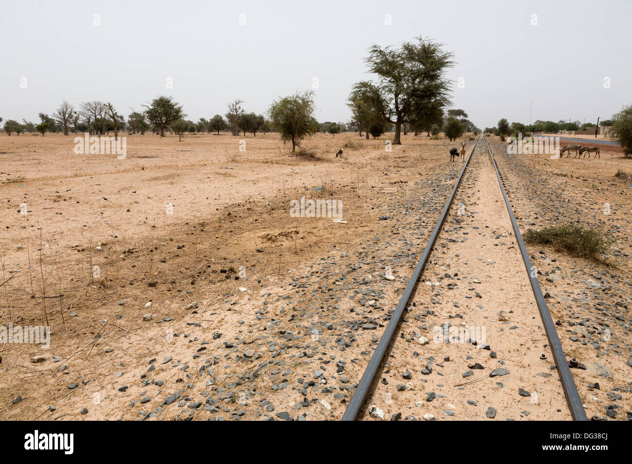Senegal Infrastructure High Resolution Stock Photography and Images - Alamy
