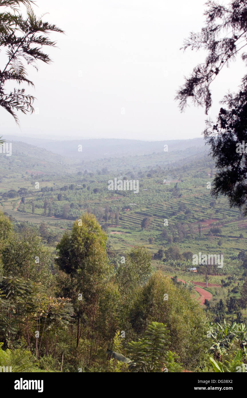 Rural Rwanda Land of 1000 Hills farms banana and hills with terracing ...