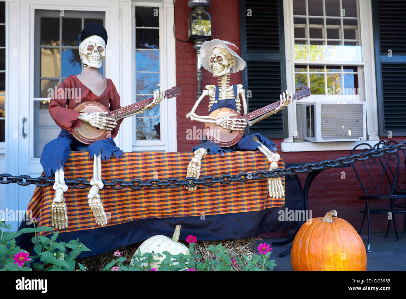 Skeletons playing banjos in Halloween display in Stowe, Vermont Stock ...