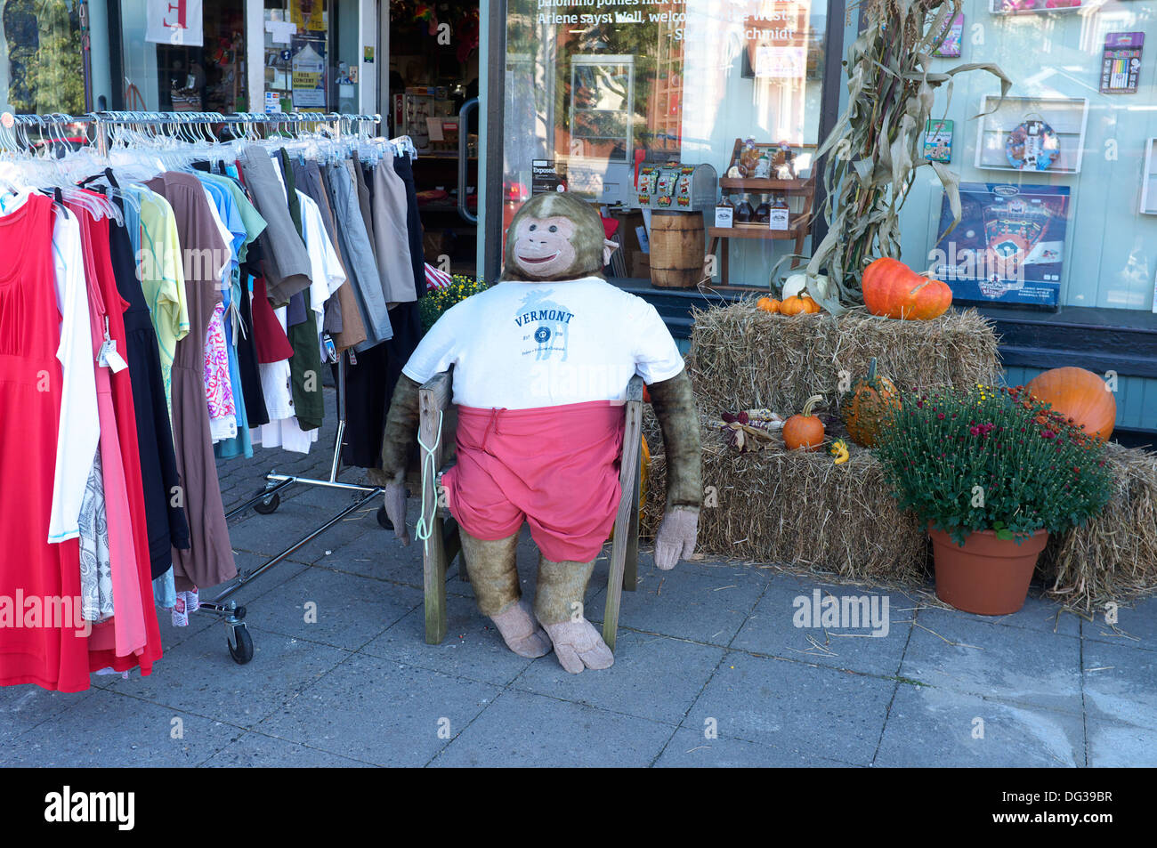 Monkey dressed up hi-res stock photography and images - Alamy