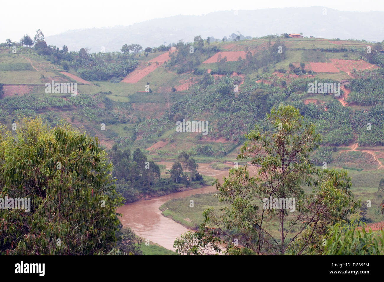 Muddy Nyabarango River passing through the rural Rwandan landscape of ...