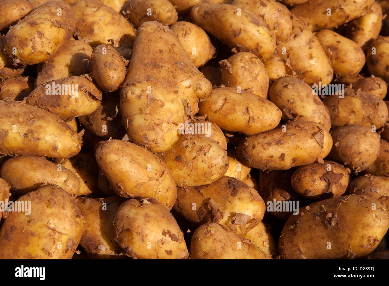 New potatoes at a market stall, Hanover, Lower Saxony, Germany, Europe ...