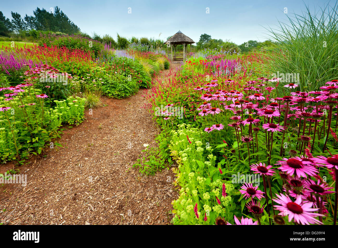 The 'prairie' garden at Lady Farm, Chelwood, nr Bath, Somerset, England UK Stock Photo - Alamy