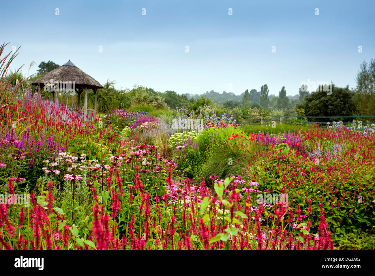 Prairie border garden hi-res stock photography and images - Alamy