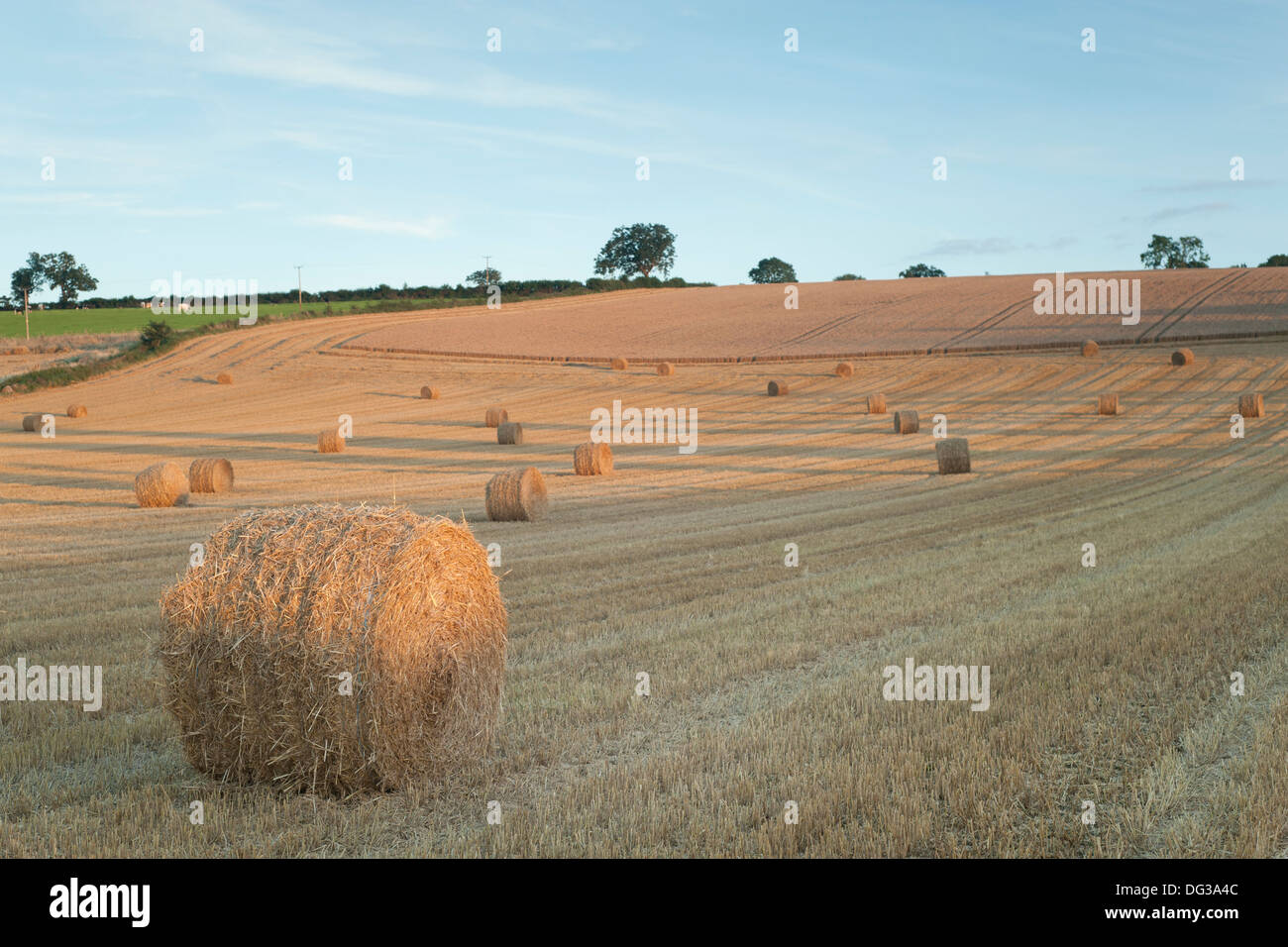 Tysoe warwickshire village hi-res stock photography and images - Alamy