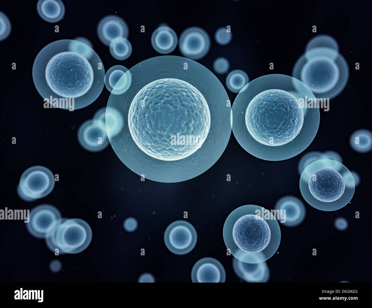 Cells - medical background Stock Photo - Alamy