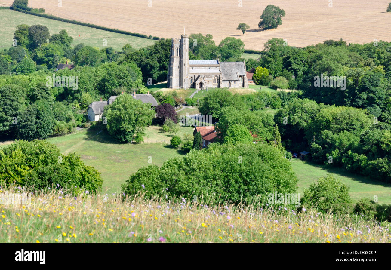 Bucks - Chiltern Hills - view from Beacon Hill - grass -wild flowers ...