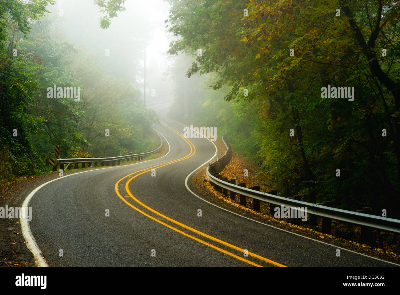 A road winds through the fog in Autumn Stock Photo - Alamy