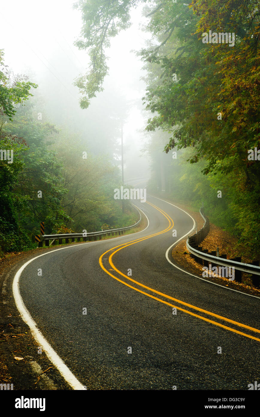 Winding road through the woods in the fall hi-res stock photography and ...