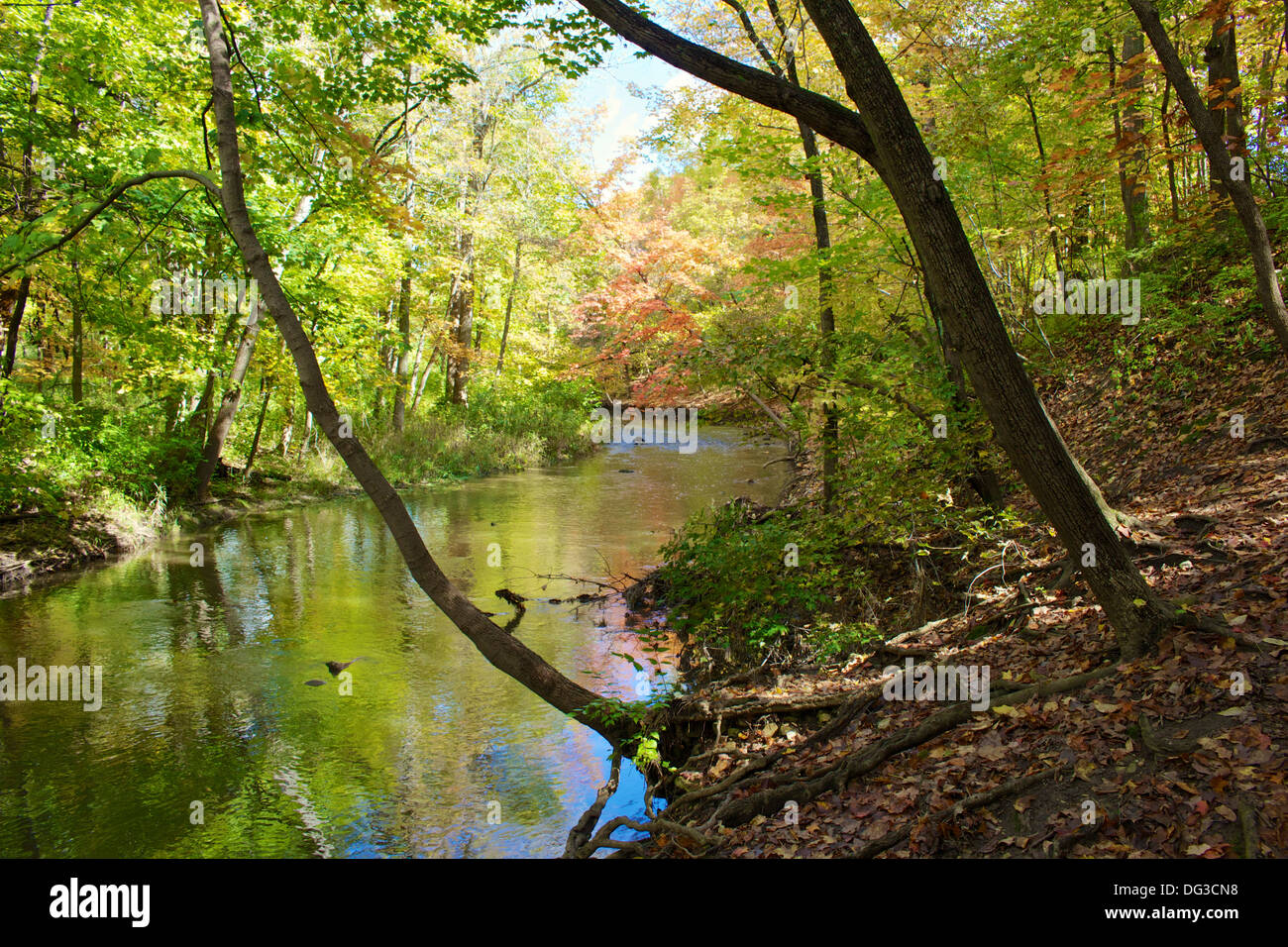 Autumn scene on Sawmill Creek. Waterfall Glen Forest Preserve, DuPage ...
