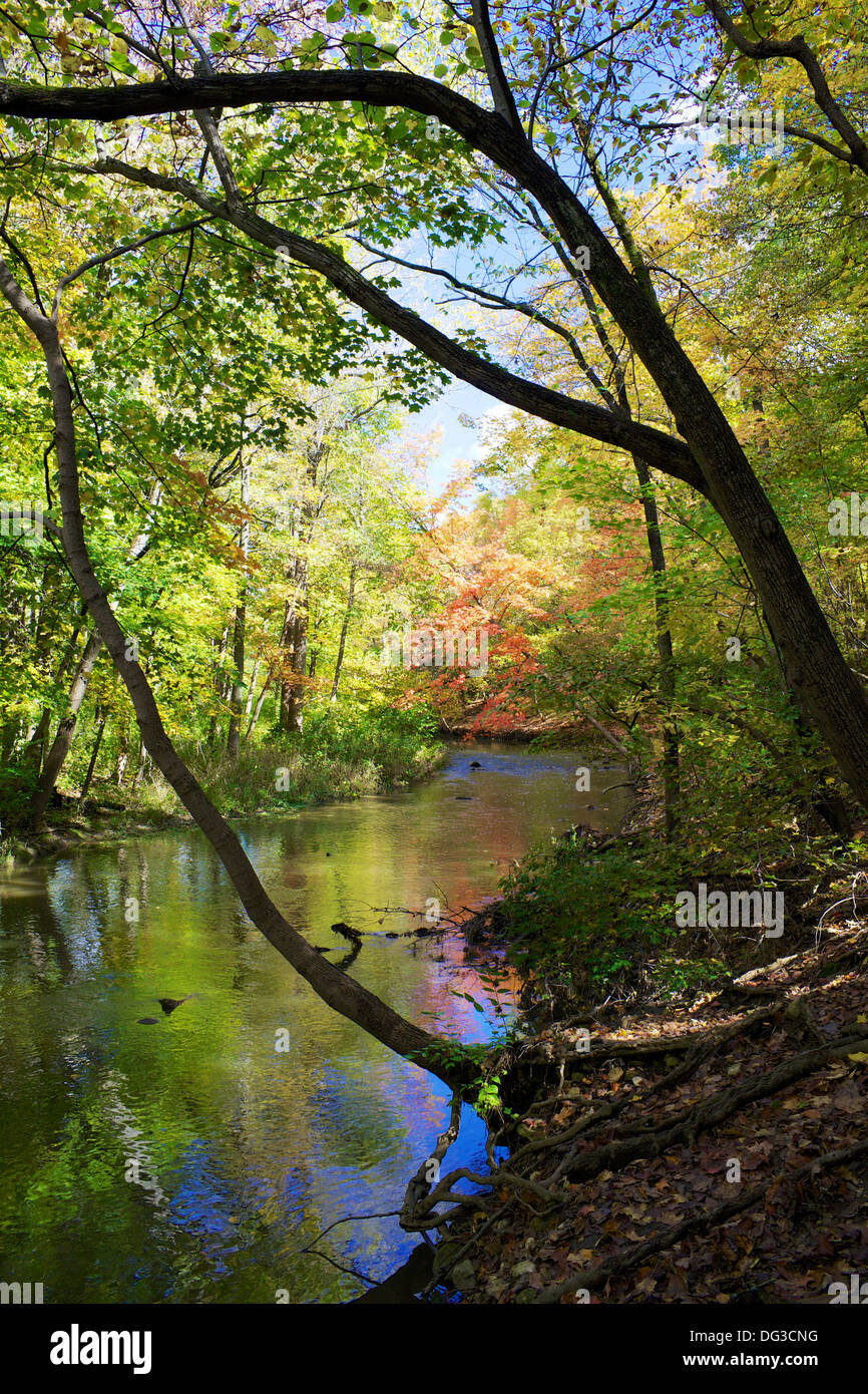 Autumn scene on Sawmill Creek. Waterfall Glen Forest Preserve, DuPage ...