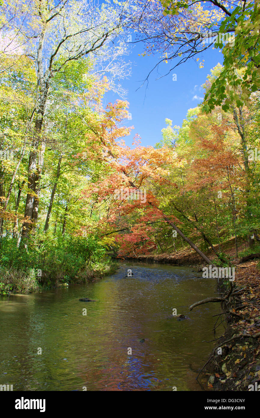 Autumn scene on Sawmill Creek. Waterfall Glen Forest Preserve, DuPage ...