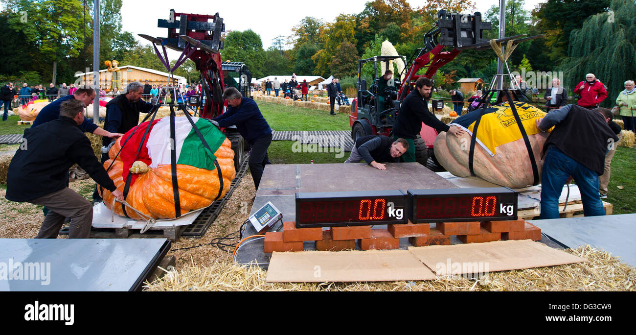 13th heaviest hi-res stock photography and images - Alamy