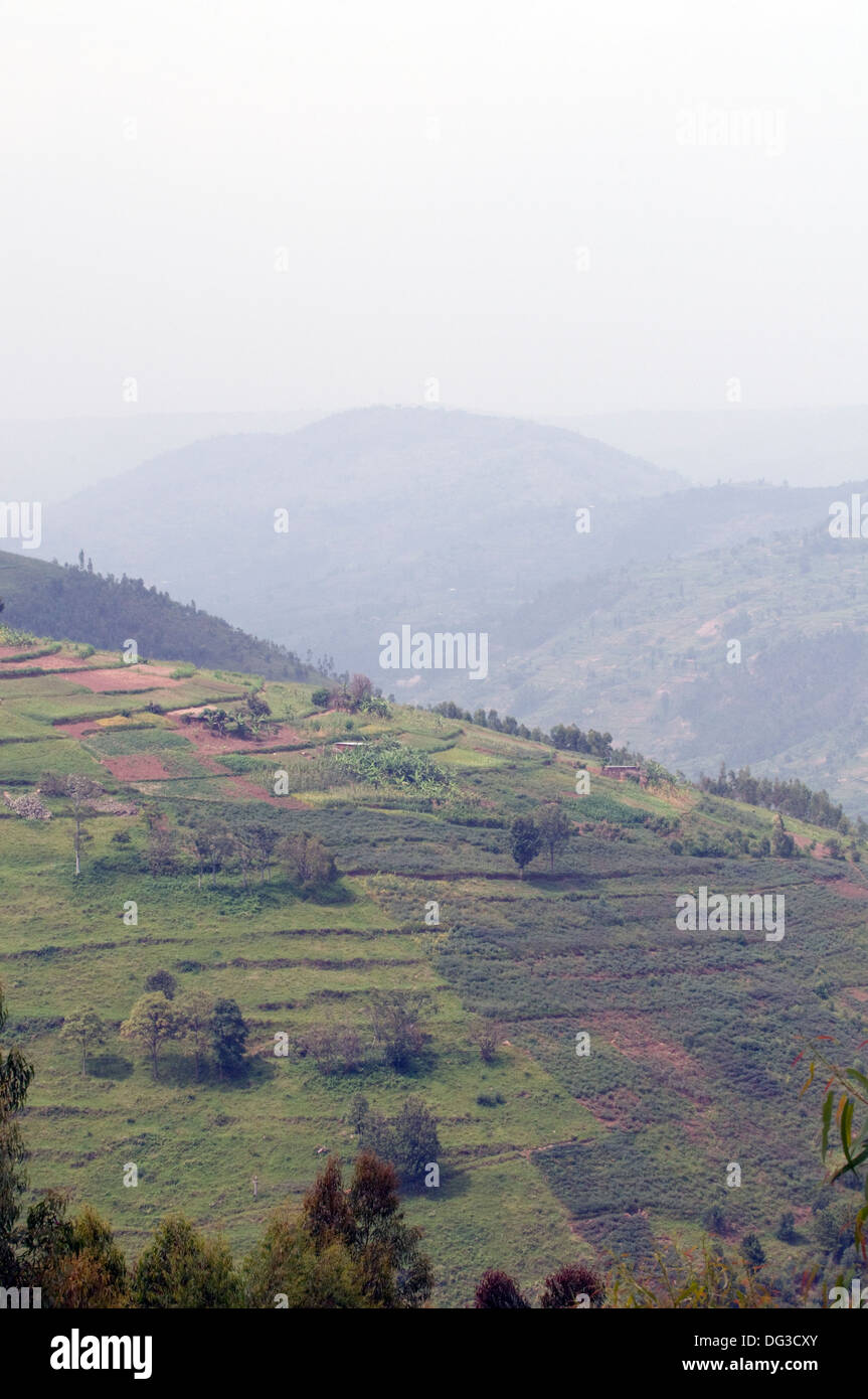 Rural Rwanda Land of 1000 Hills farms banana and hills with terracing ...