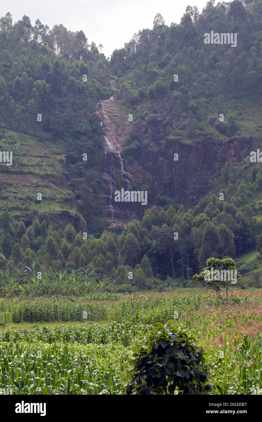Waterfall with trees hi-res stock photography and images - Alamy