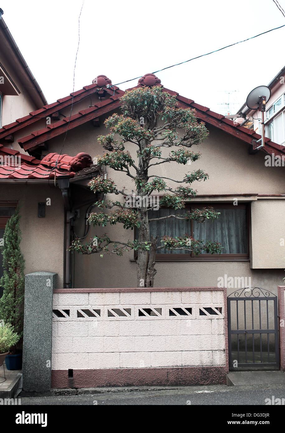 Japan tree house hi-res stock photography and images - Alamy