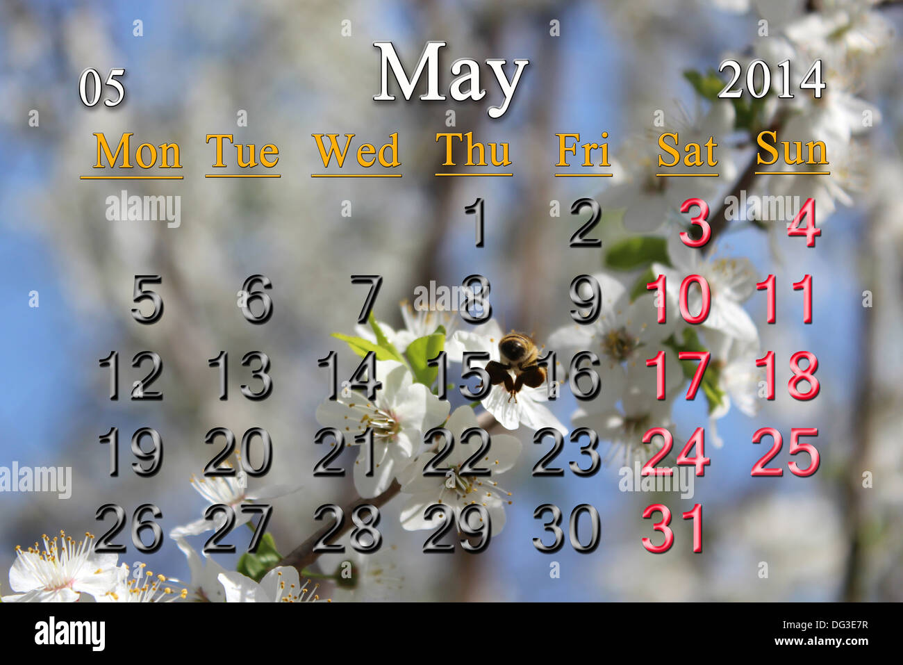 calendar for the May of 2014 year on the background of flying bumblebee ...