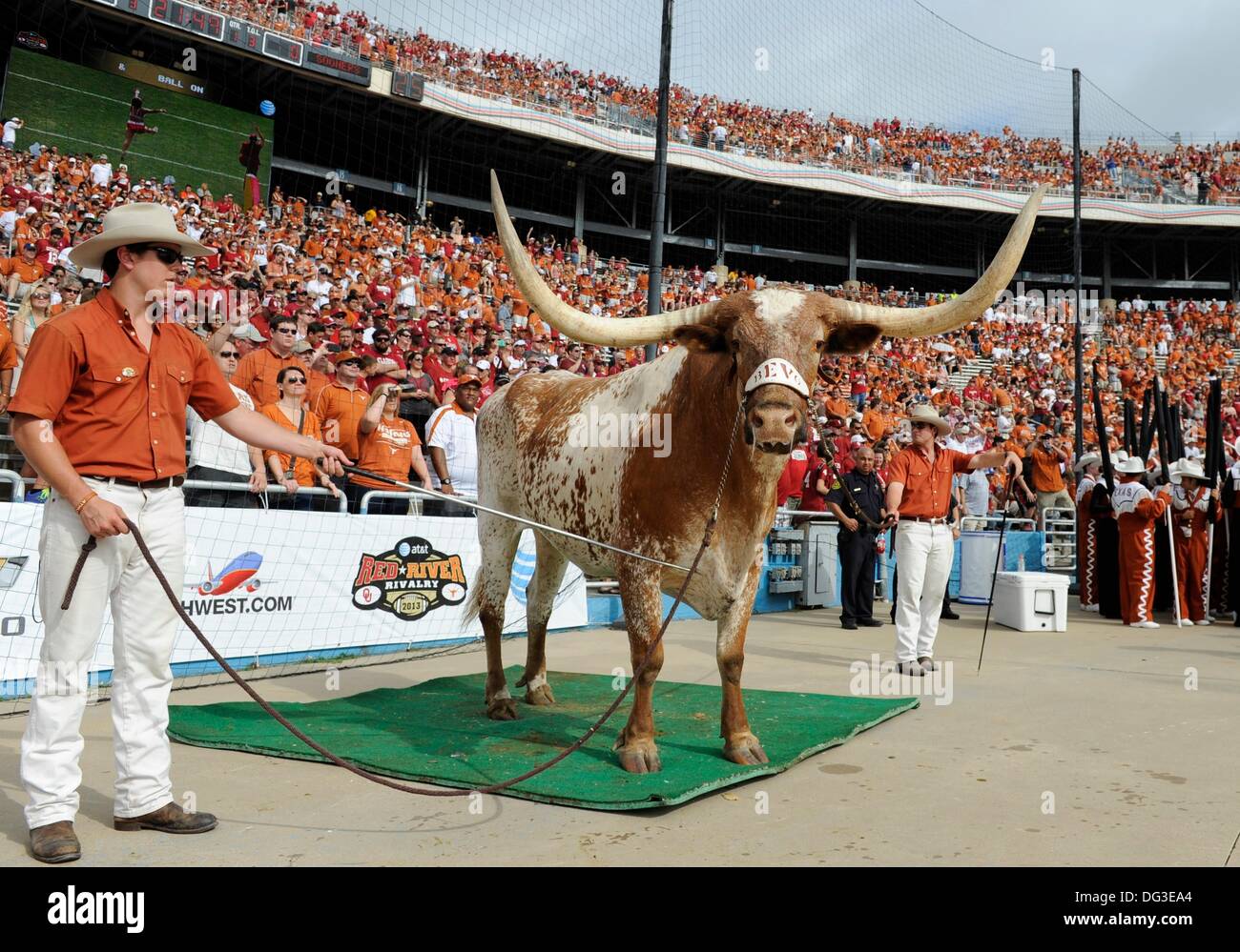 Dallas, Texas. 12th Oct, 2013. Texas Longhorns mascot Bevo XIV during ...