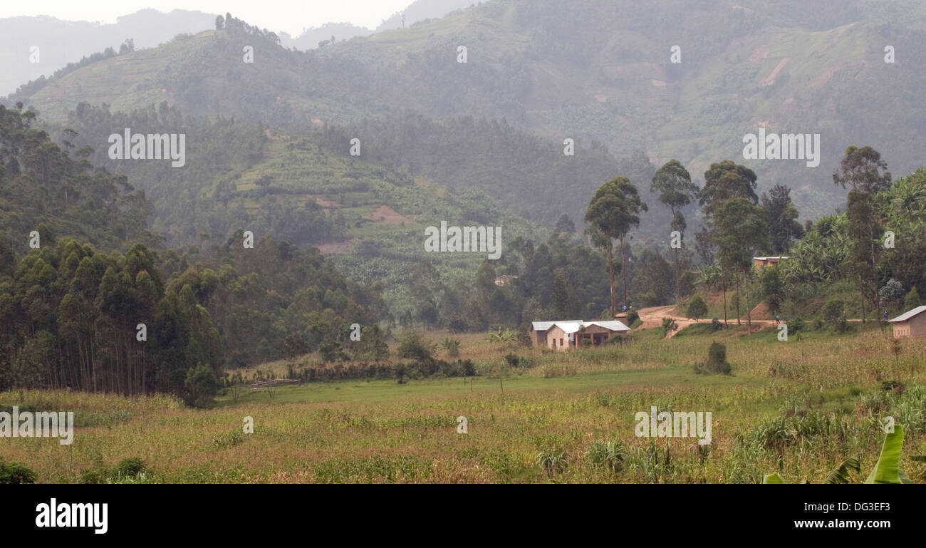 Rural Rwanda Land of 1000 Hills farms and hills with terracing ...