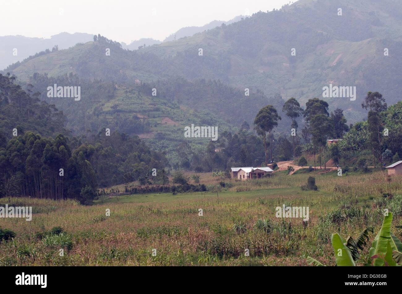 Rural Rwanda Land of 1000 Hills farms and hills with terracing ...