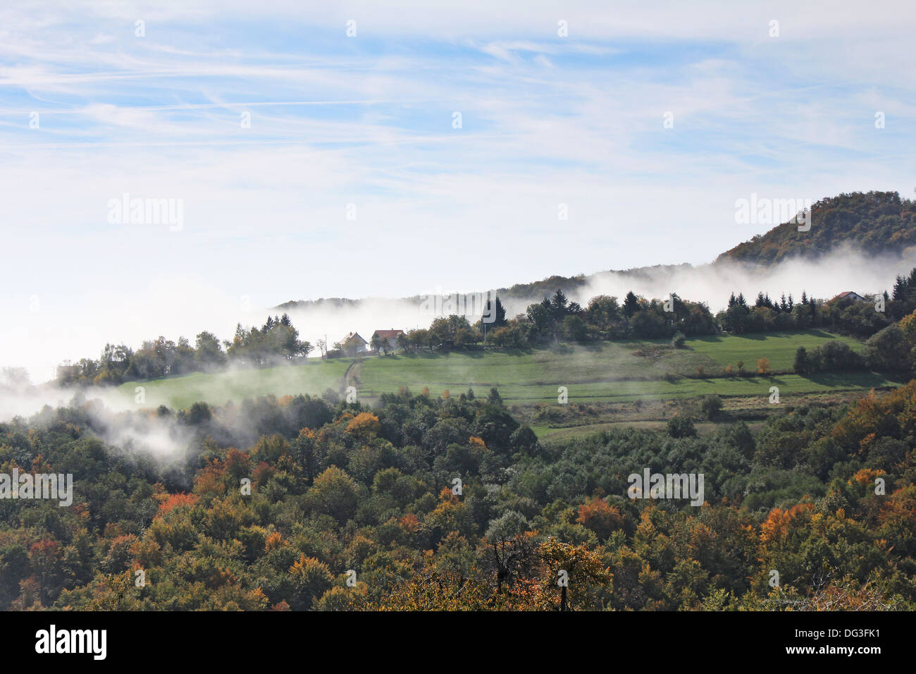 Small hill in the forest hi-res stock photography and images - Alamy
