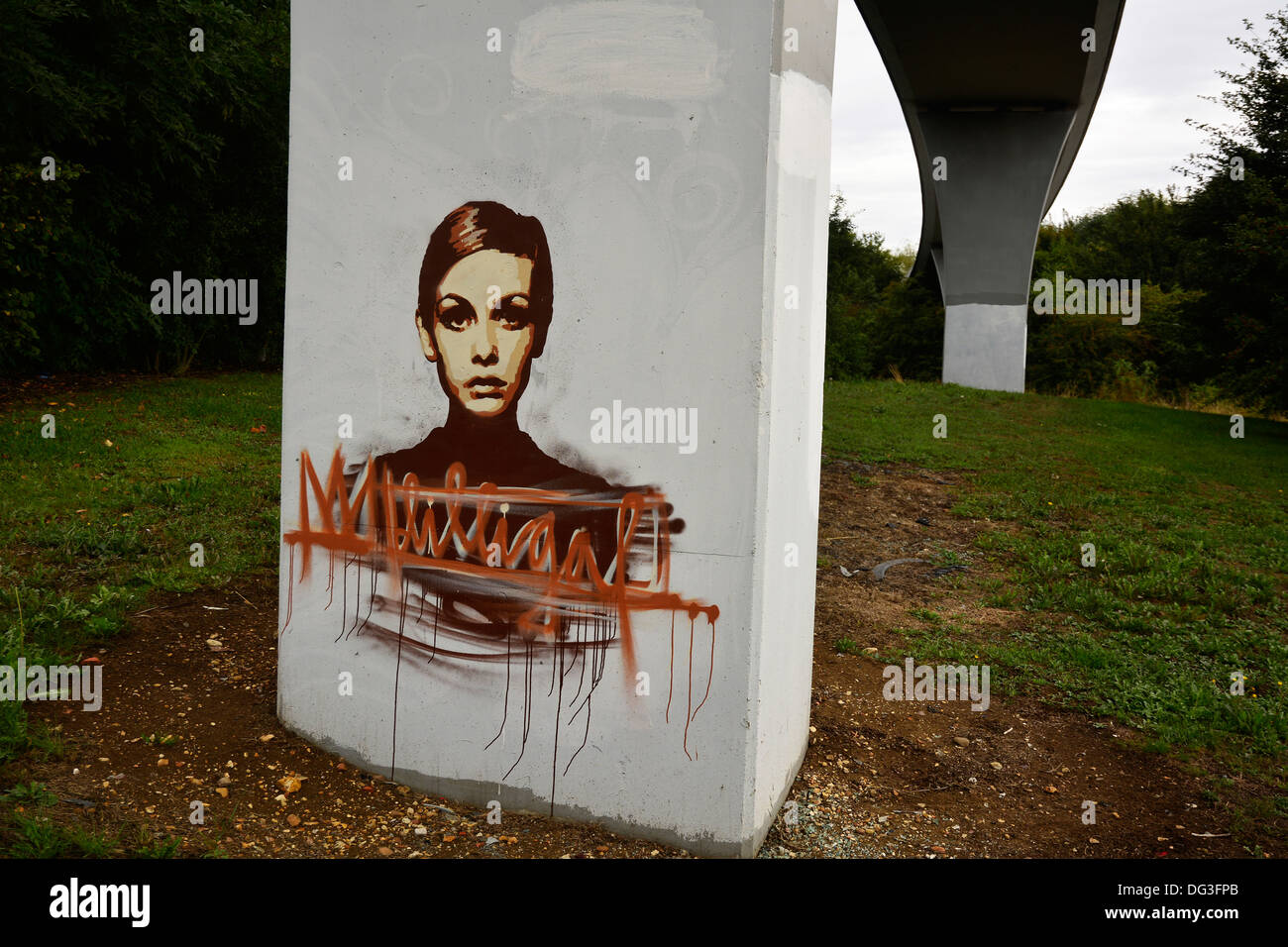 Ant Carver's graffiti painting of Twiggy at Deanshanger ...