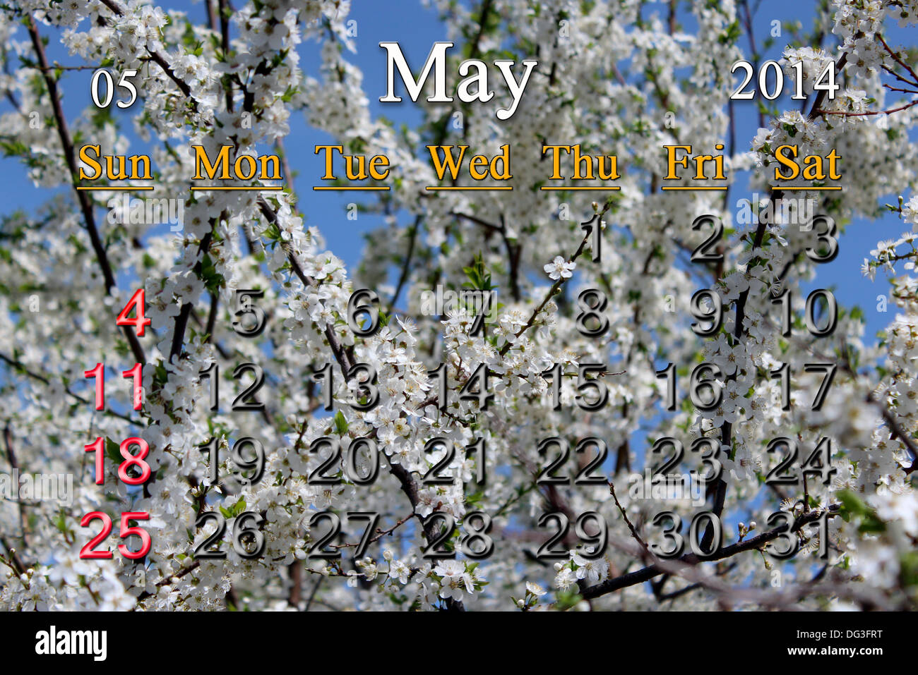 calendar for the May of 2014 year on the background of flying bumblebee ...