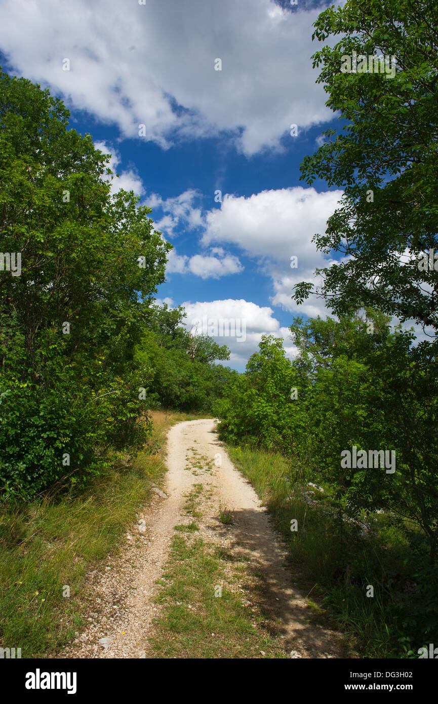 Empty path in nature with clouds in blue sky Stock Photo - Alamy