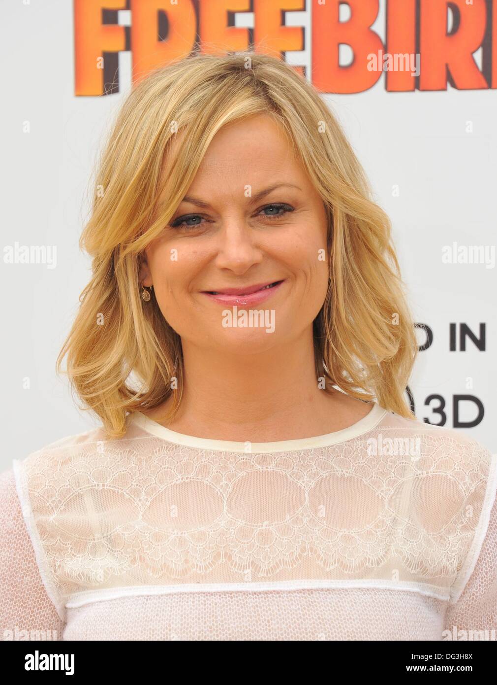 Los Angeles, CA, USA. 13th Oct, 2013. Amy Poehler at arrivals for FREE ...