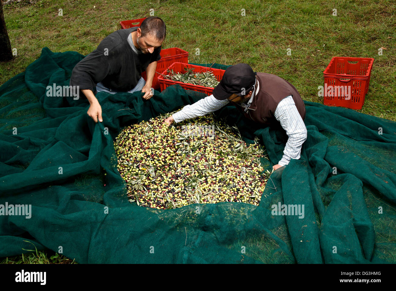 Olive crates hi-res stock photography and images - Alamy