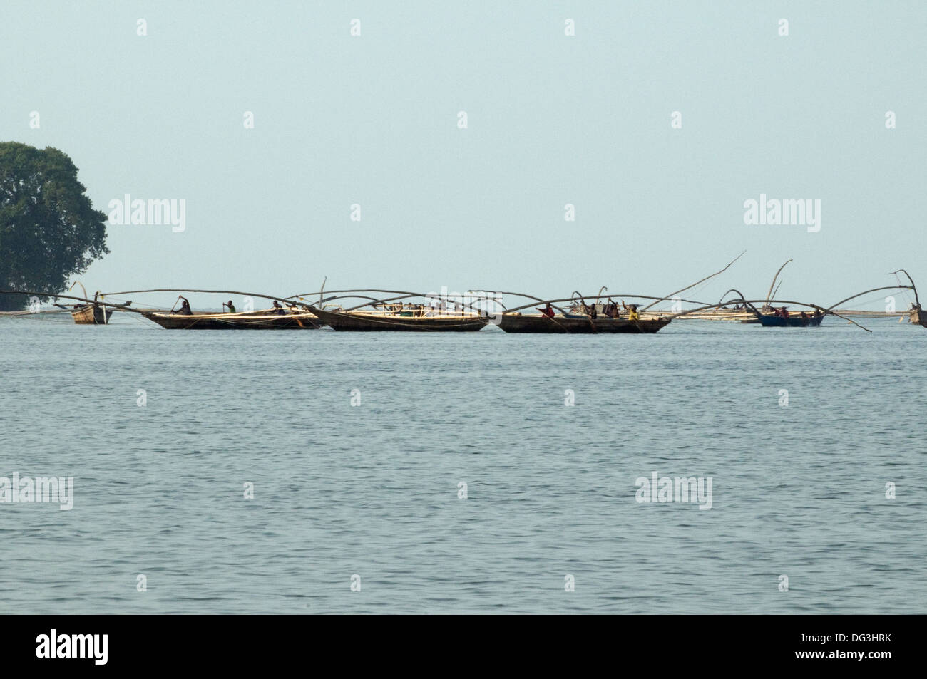 Flotilla of fishing boats working together with extended poles trawling ...