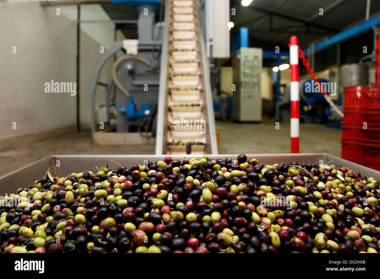 Olive crusher hi-res stock photography and images - Alamy