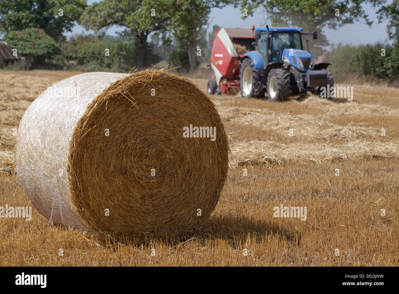 Round, tractor drawn, baling machine, working over rows of combine ...