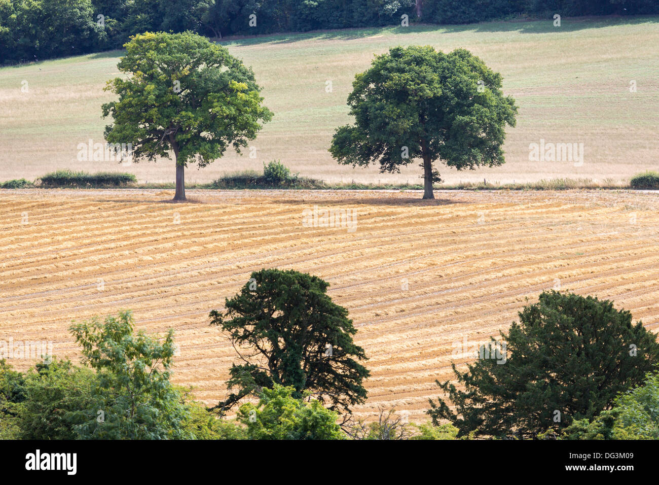 View of Surrey countryside in summer, from Newlands Corner, Guildford ...