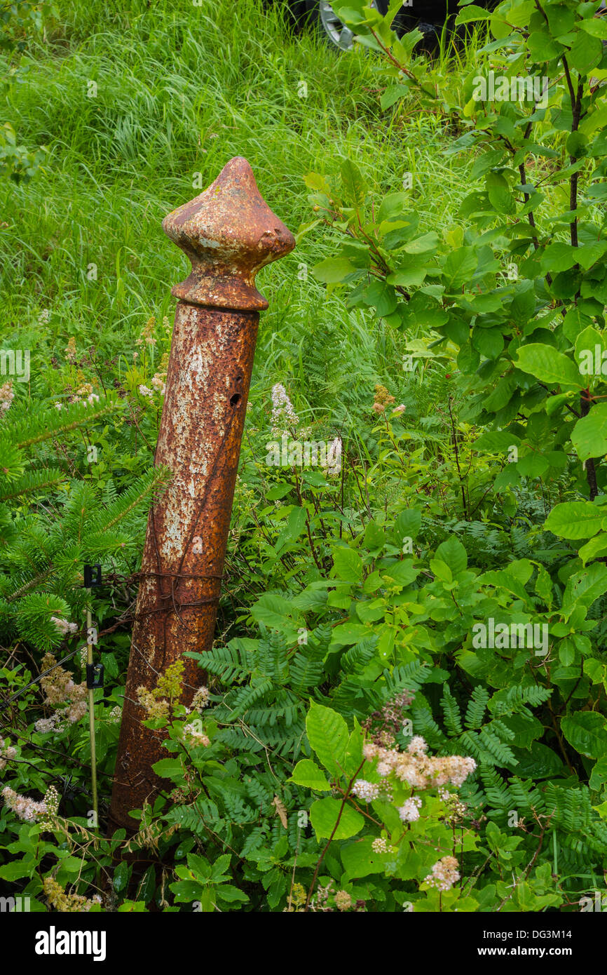 A rusted old style metal fence post leaning, unconnected, in overgrown ...