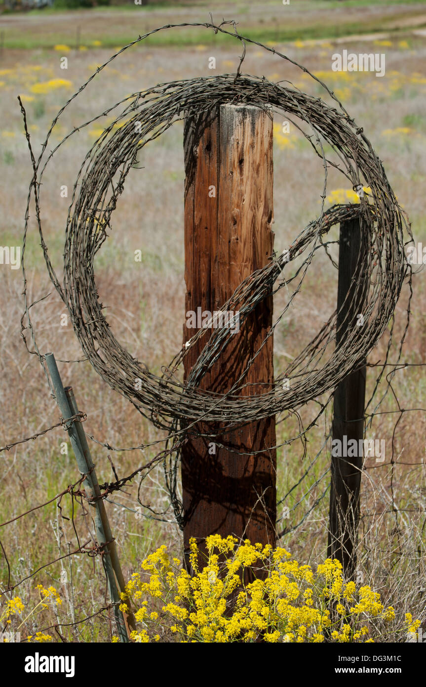 Barbed wire and fence post hi-res stock photography and images - Alamy