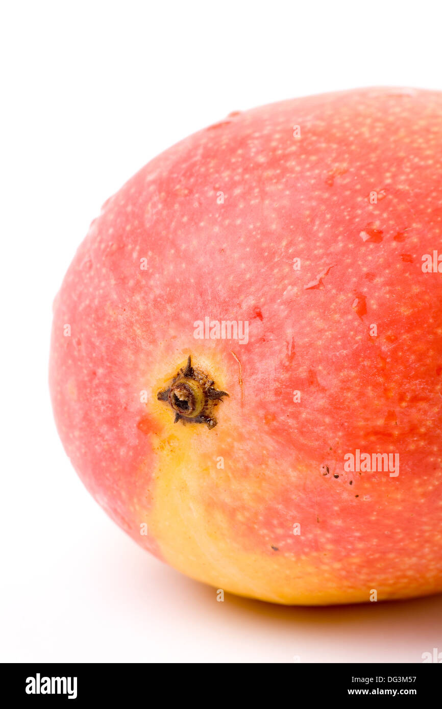isolated Red Mango close up shot Stock Photo - Alamy