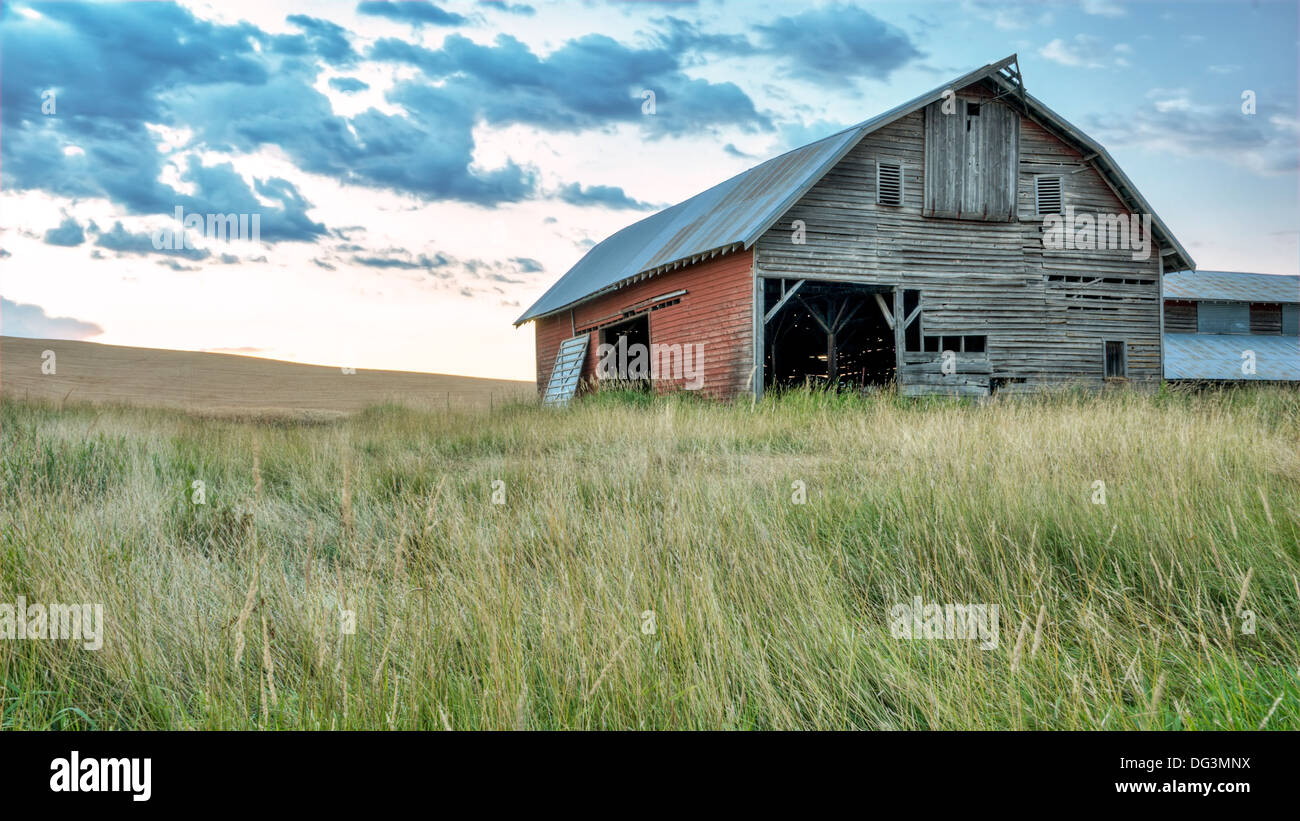 Barn grass hi-res stock photography and images - Alamy