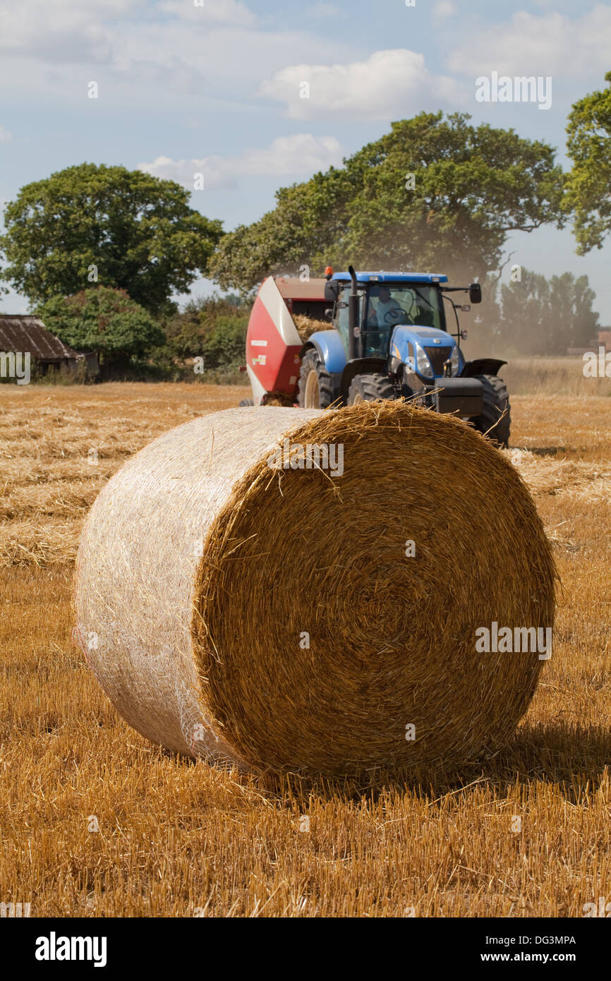 Round, tractor drawn, baling machine, working over rows of combine ...