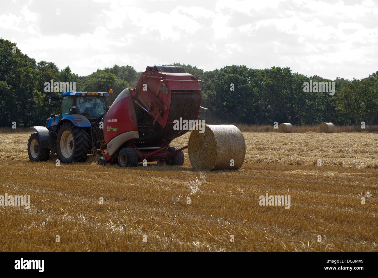 Round, tractor drawn, baling machine, working over rows of combine ...