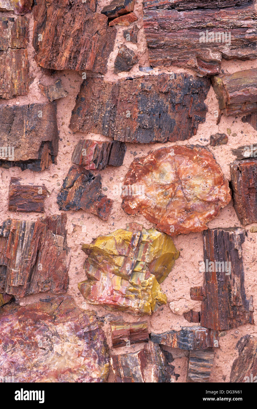 Agate House wall, Petrified Forest National Park, Arizona Stock Photo ...