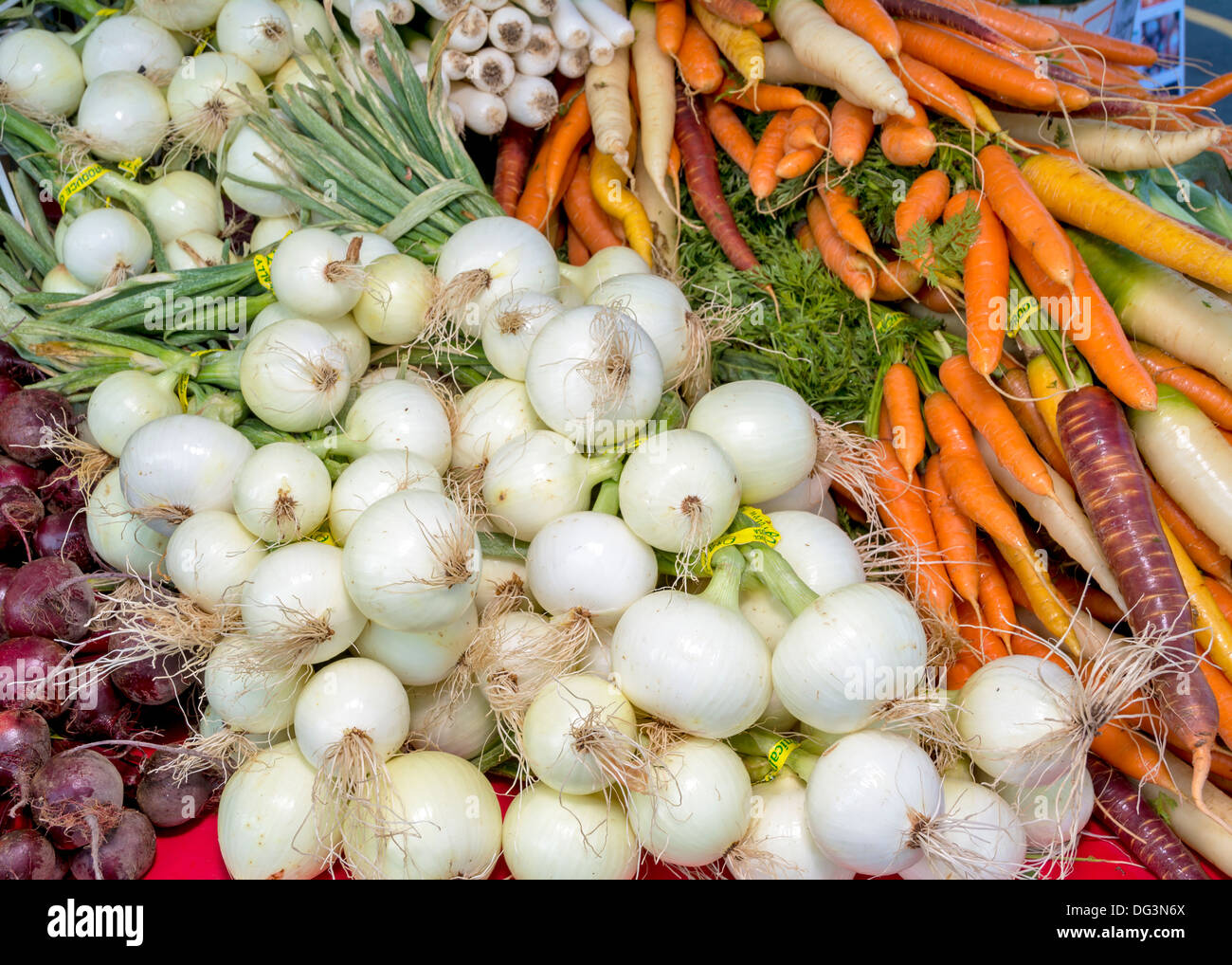 Colorful vegetables placed to be viewed Stock Photo - Alamy