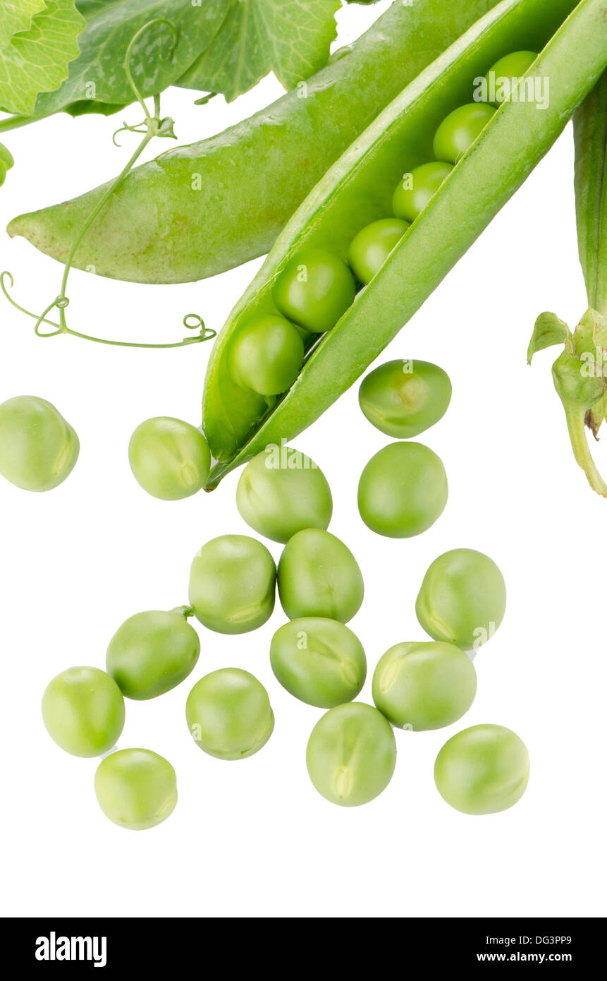 Fresh green pea pod on white background Stock Photo - Alamy