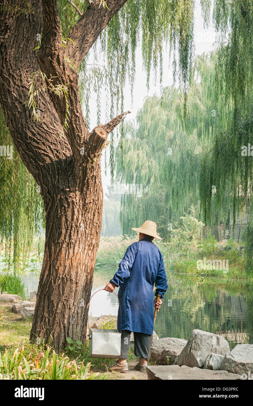 Man walking under willow tree, Old Summer Palace, Beijing, China, Asia ...