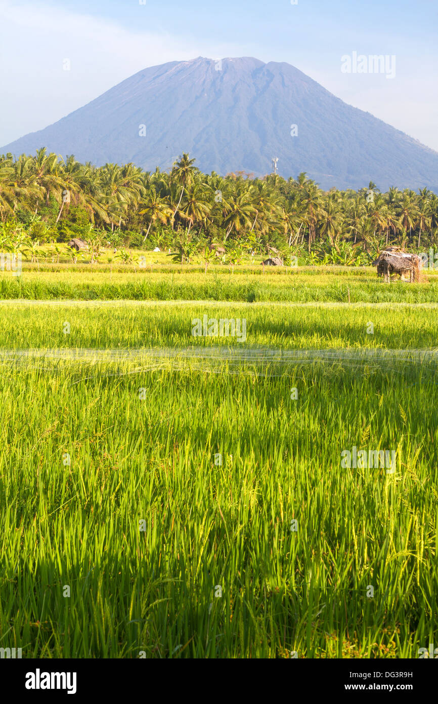 Mt agung volcano hi-res stock photography and images - Alamy